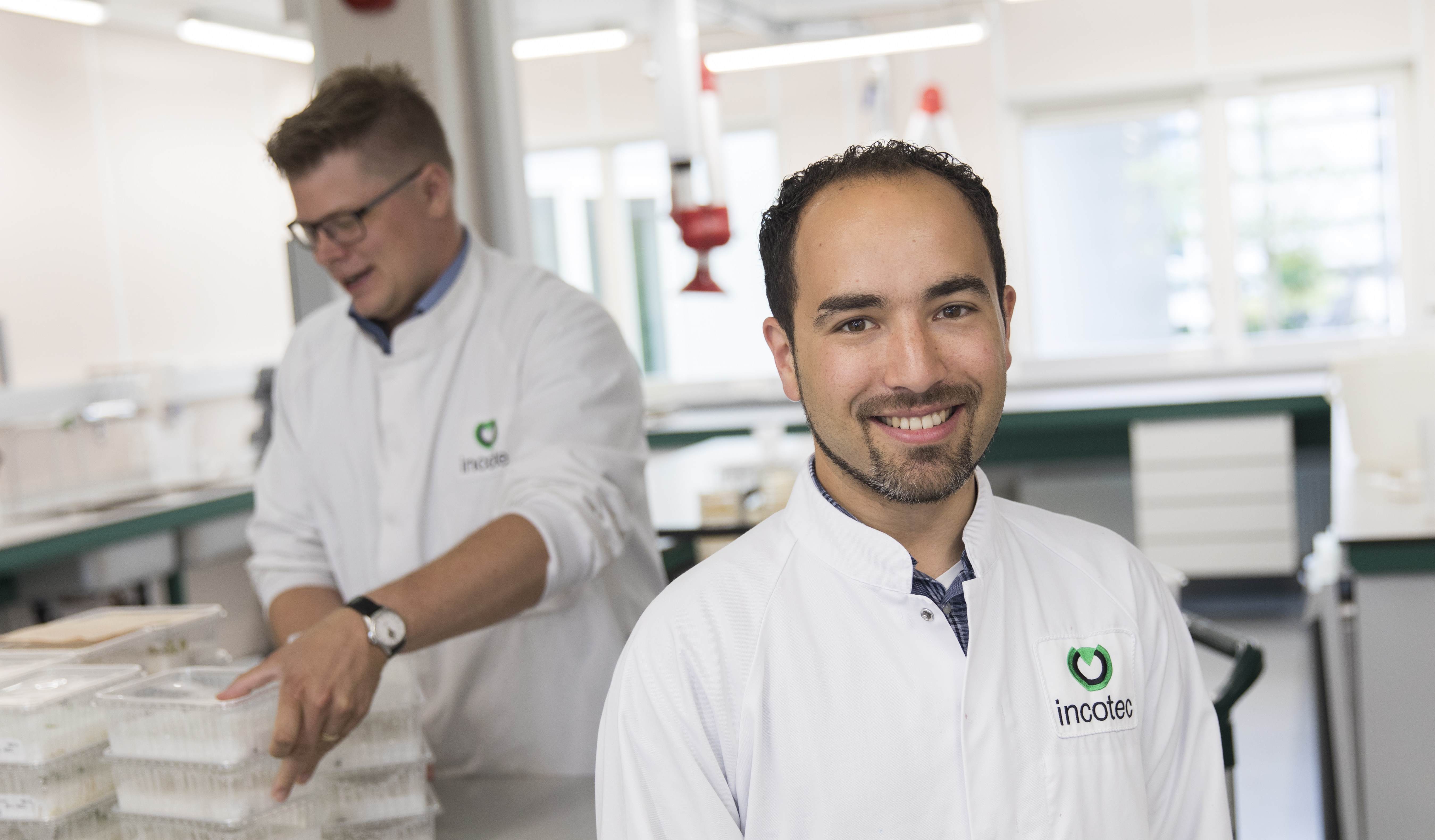 Seed Industry Jobs | Incotec