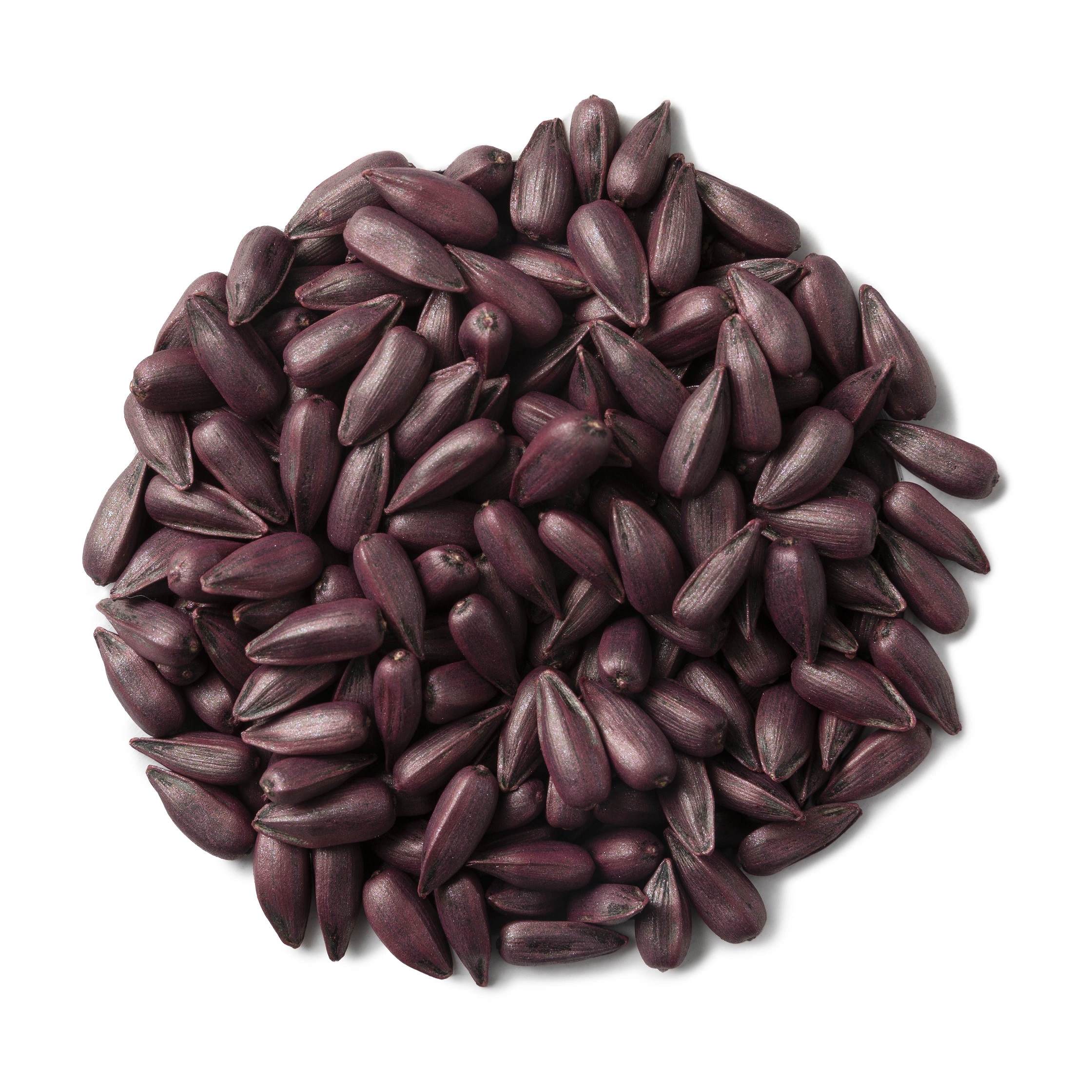 The Seed Enhancement Company - Specialist in Seed Technology | Incotec