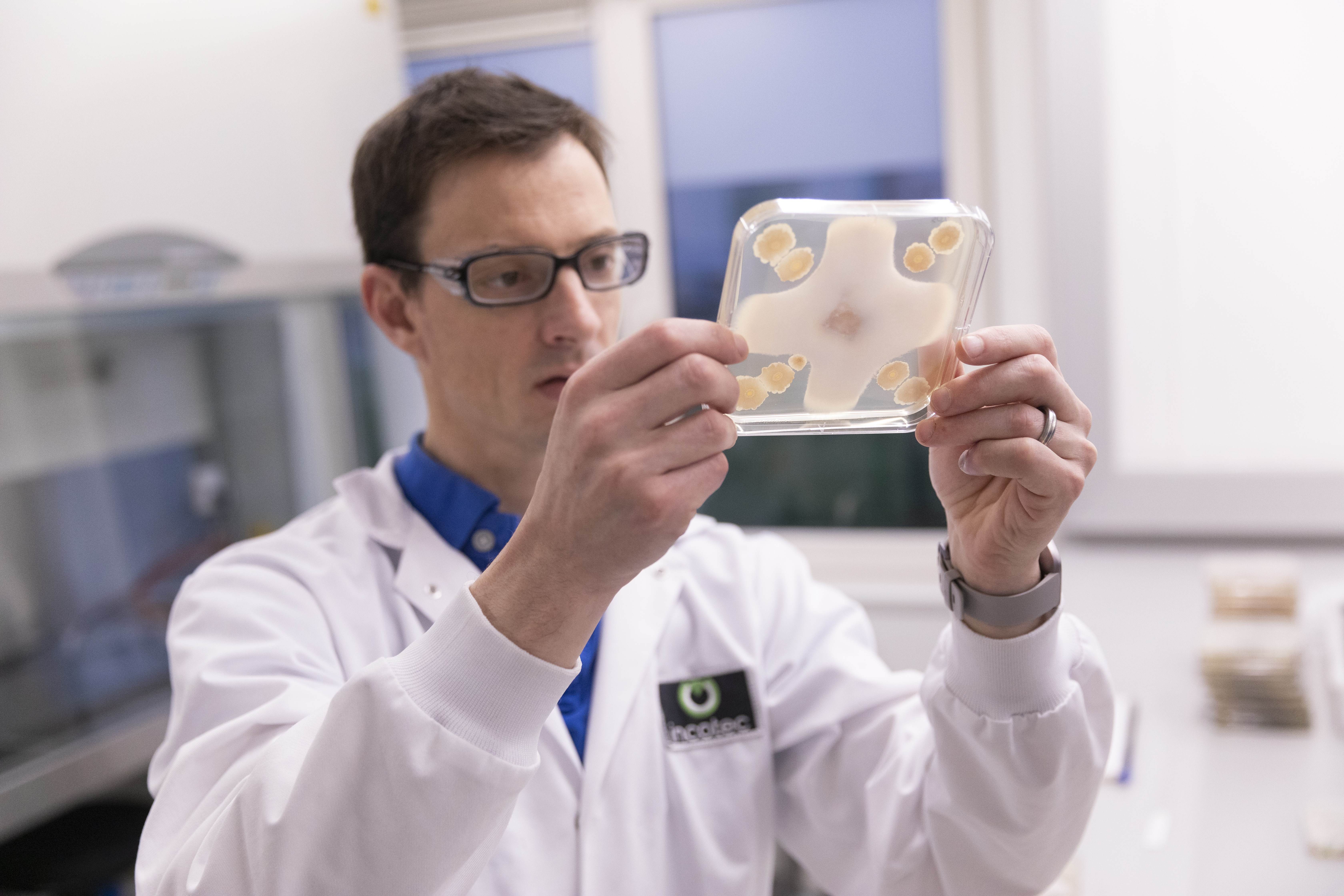 Biologicals in Agriculture | Incotec